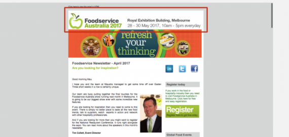 How to Design a Winning Email Newsletter Header with Examples and Best ...