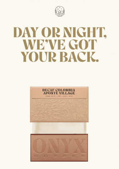 How to Design a Winning Email Newsletter Header with Examples and Best ...